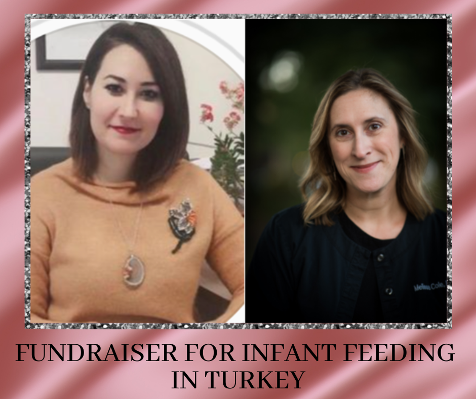 Fundraiser for infant feeding and lactation support in Turkey | Luna ...