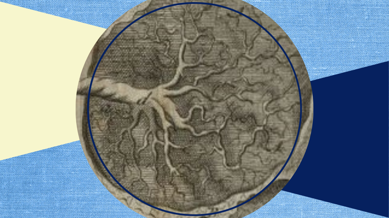 placenta-med | Luna Lactation & Wellness